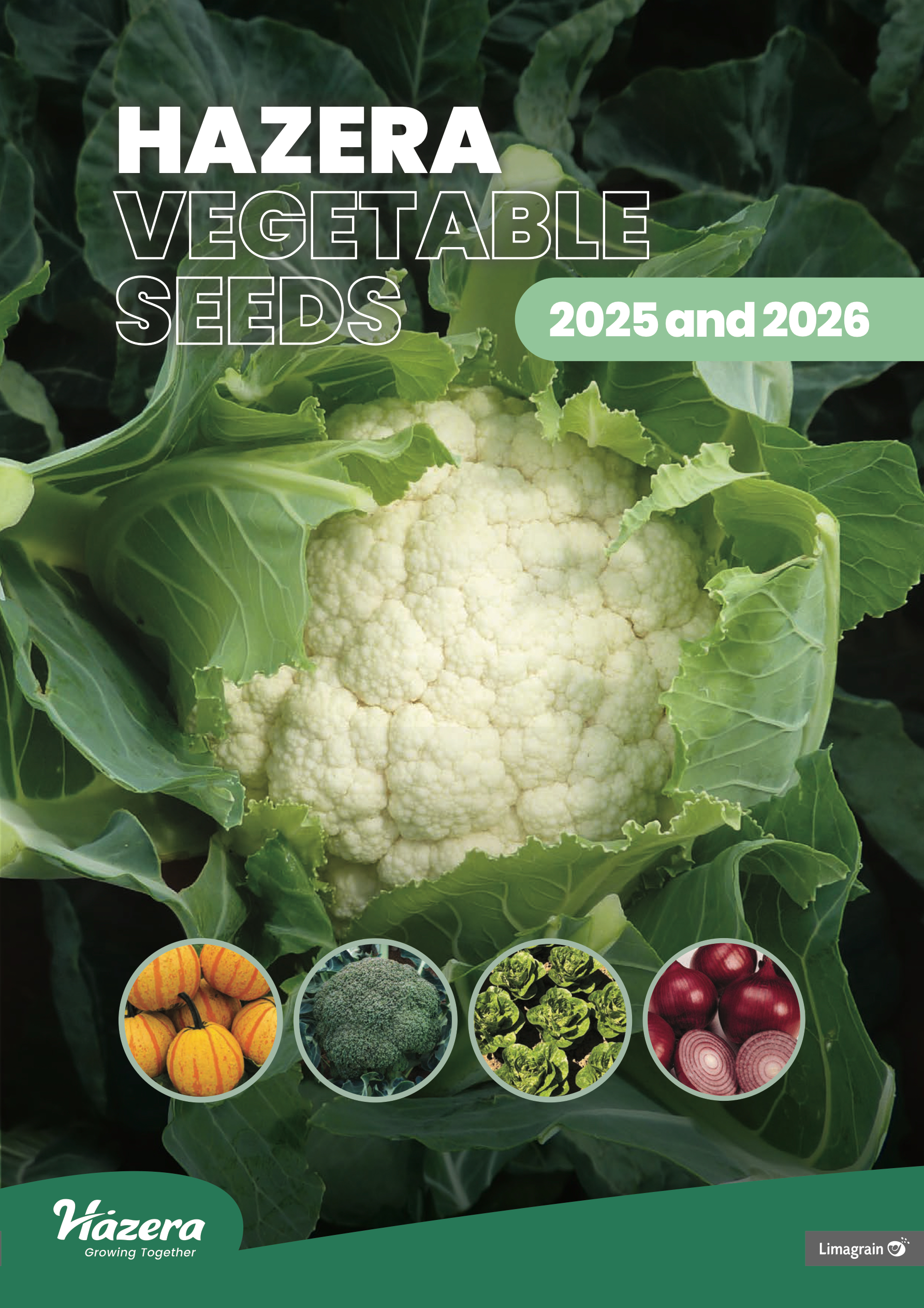 Hazera Vegetable Seeds 2025 & 2026