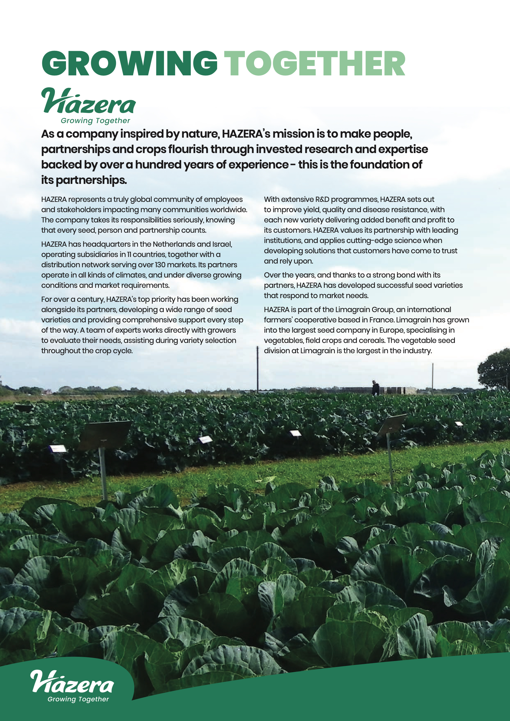 Hazera Vegetable Seeds 2025 & 2026