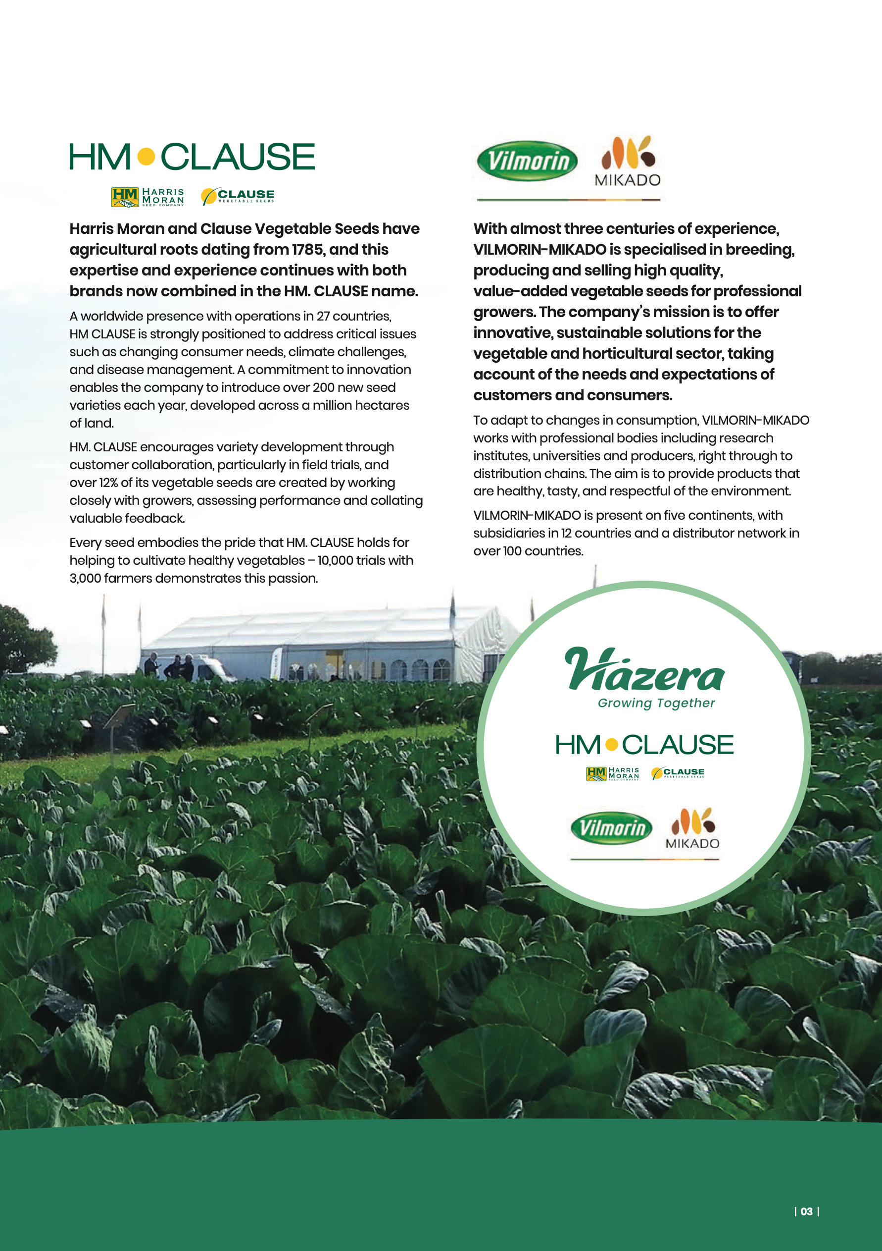 Hazera Vegetable Seeds 2025 & 2026