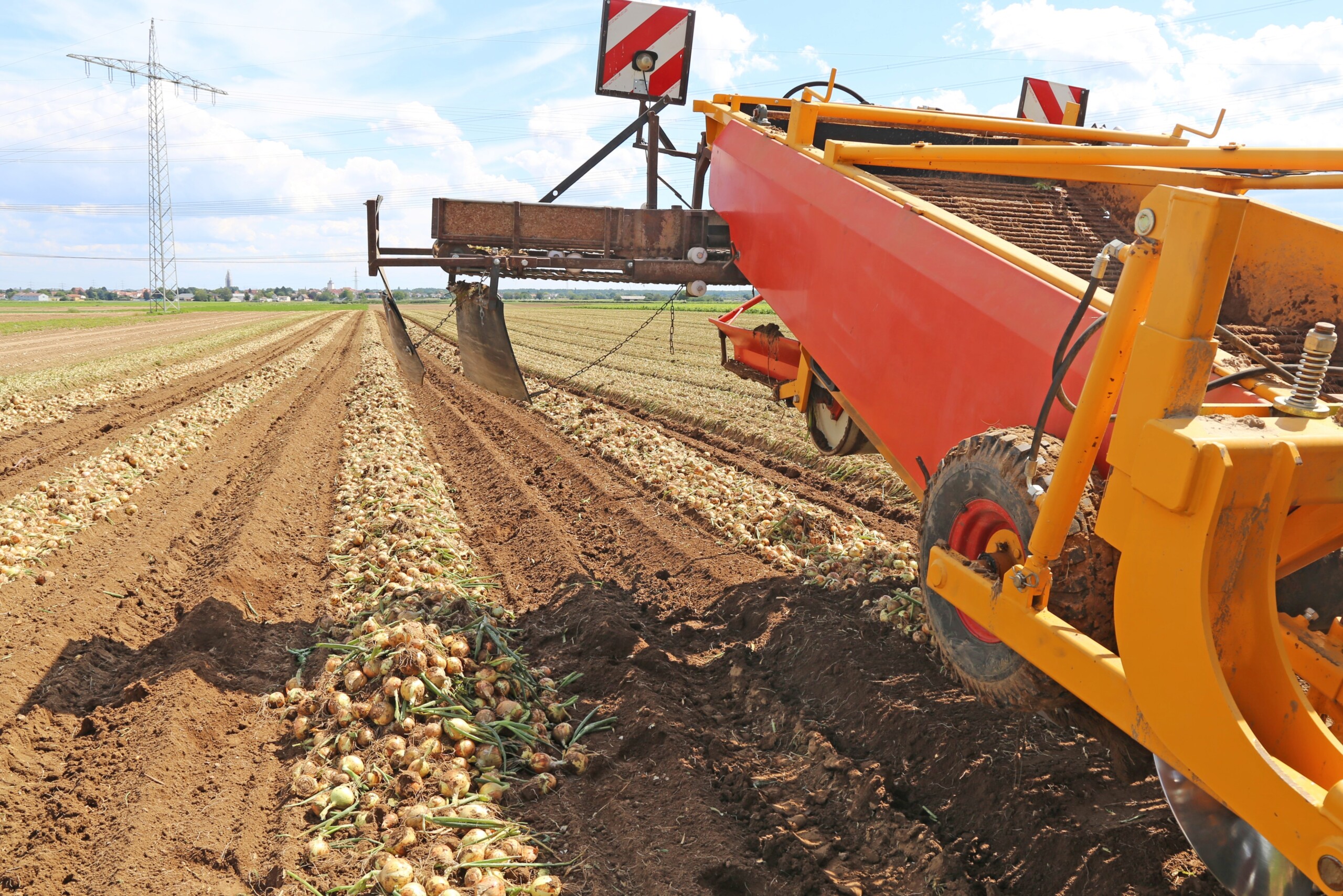 Fresh from the field: Three key trends in crop farming - Global