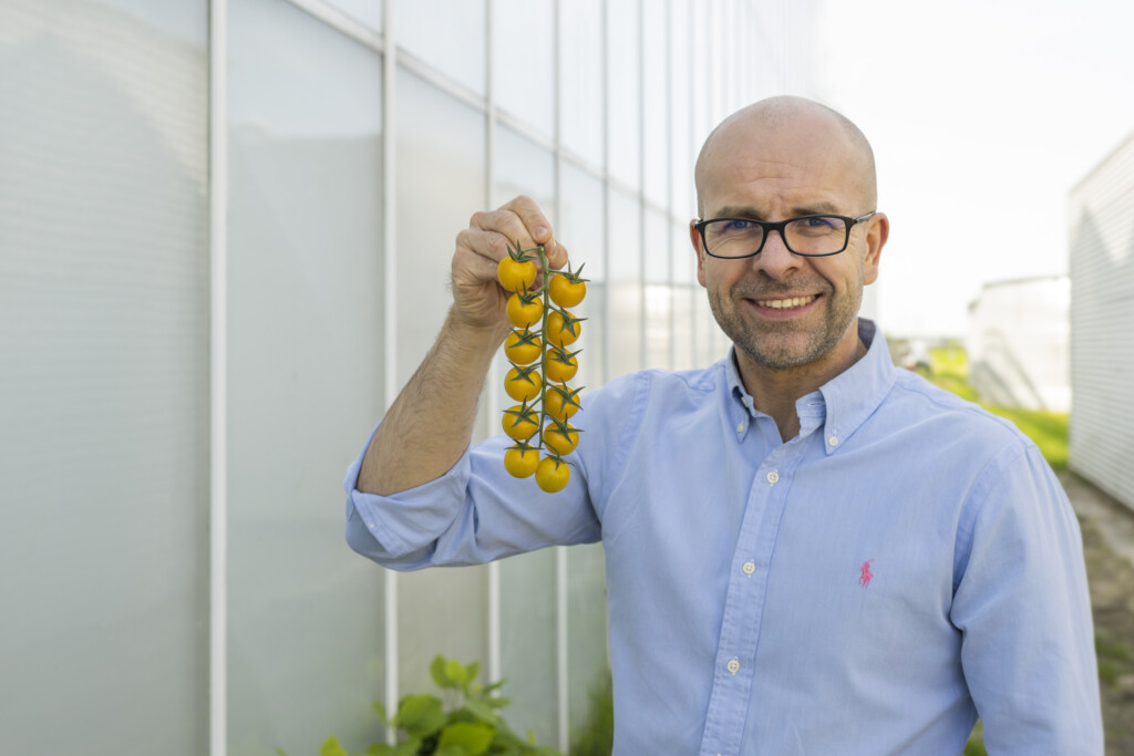 Introducing the new Global Value Fresh Chain Lead of Hazera: Michal ...