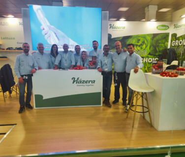 Global – Hazera – Seeds of Growth