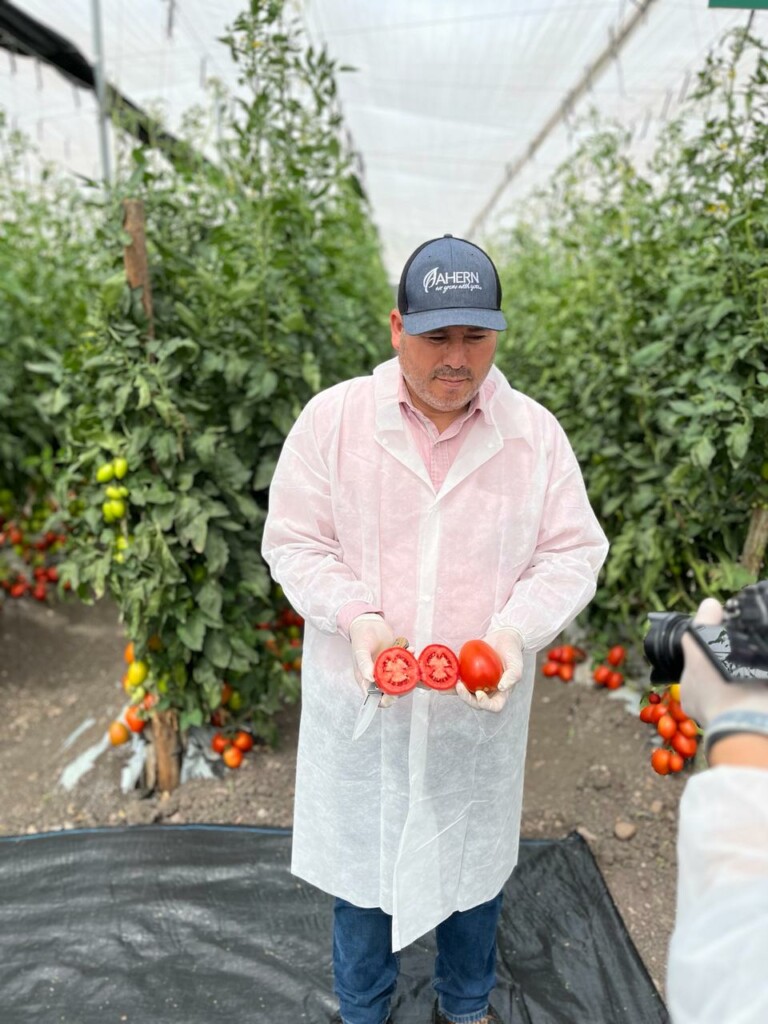 Successful Hazera Field Days: Innovation and Networking – Global