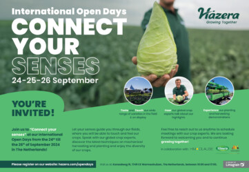 Global – Hazera – Seeds of Growth