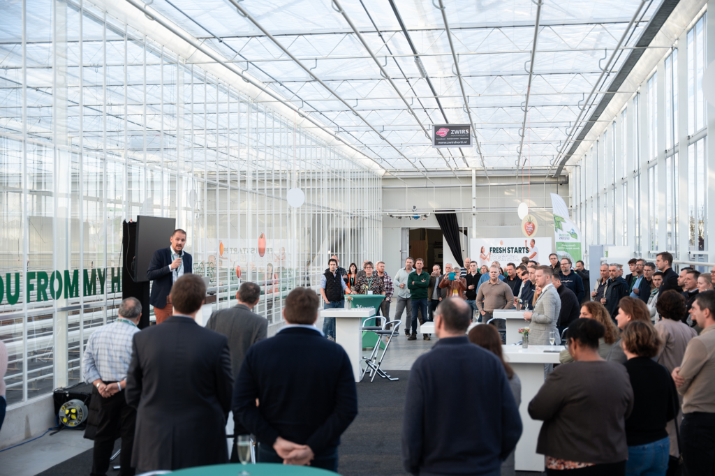 Hazera opens new high-tech R&D tomato greenhouse – Global