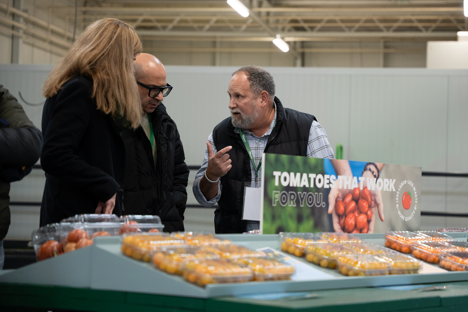 Hazera opens new high-tech R&D tomato greenhouse - Global
