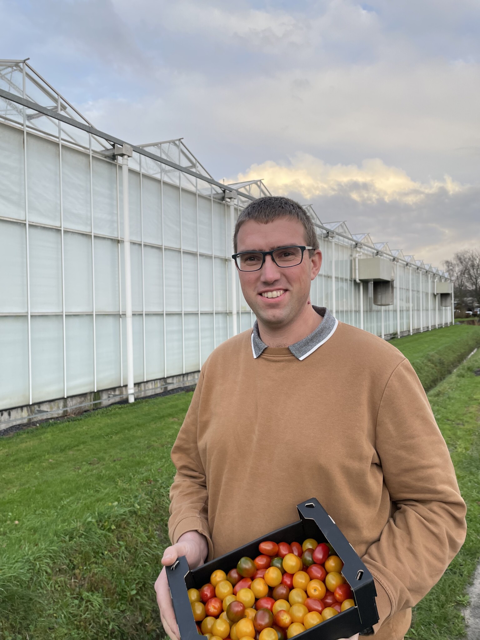 Insights into Hazera's High-Tech Tomato Breeding - Global