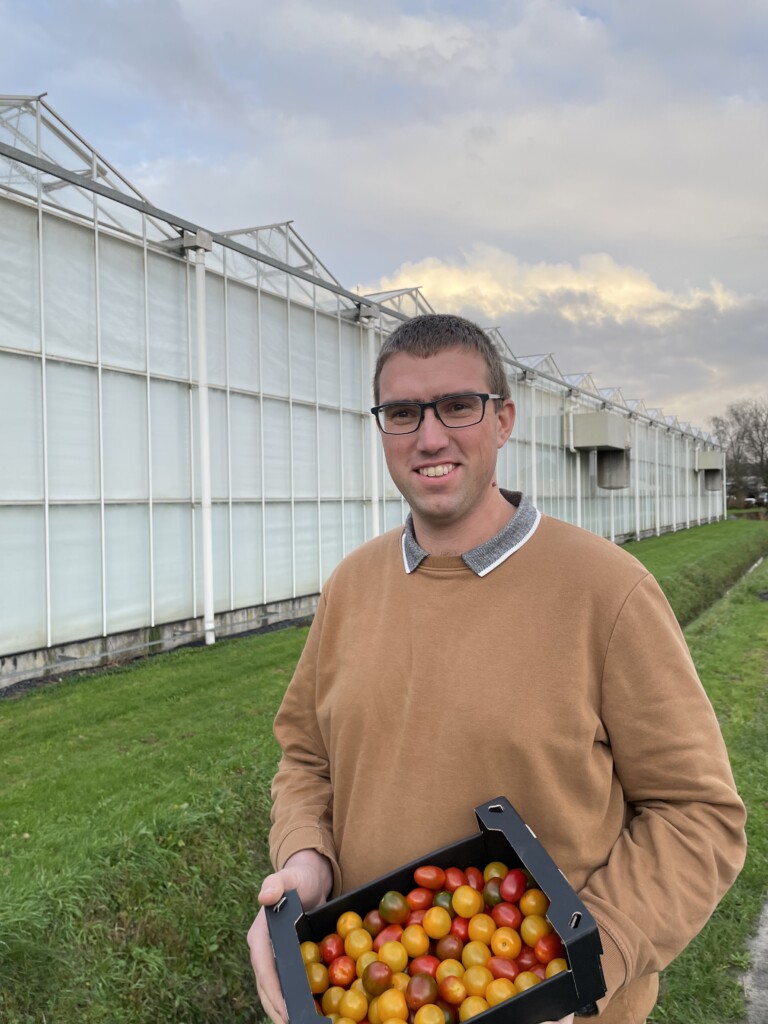Insights into Hazera's High-Tech Tomato Breeding - Global