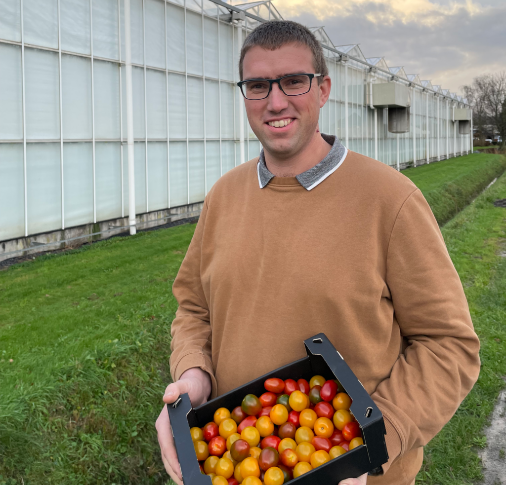 Insights into Hazera's High-Tech Tomato Breeding - Global