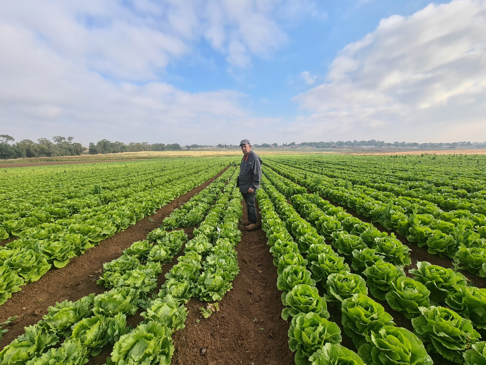 Meet the People Behind the Crops – Heritage Edition: Adi Kadmon - Global